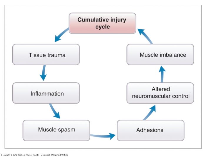 Kinetic Chain Dysfunctions in Sport - Sean Cochran Sports Performance ...