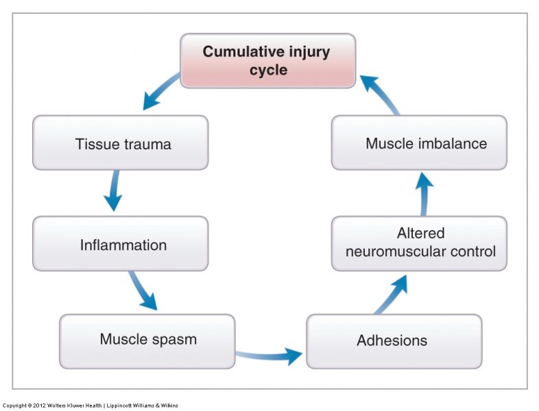 Kinetic Chain Dysfunctions in Sport - Sean Cochran Sports Performance ...
