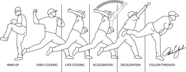 A Brief Upper Extremity Anatomical Overview of The Pitching Motion ...